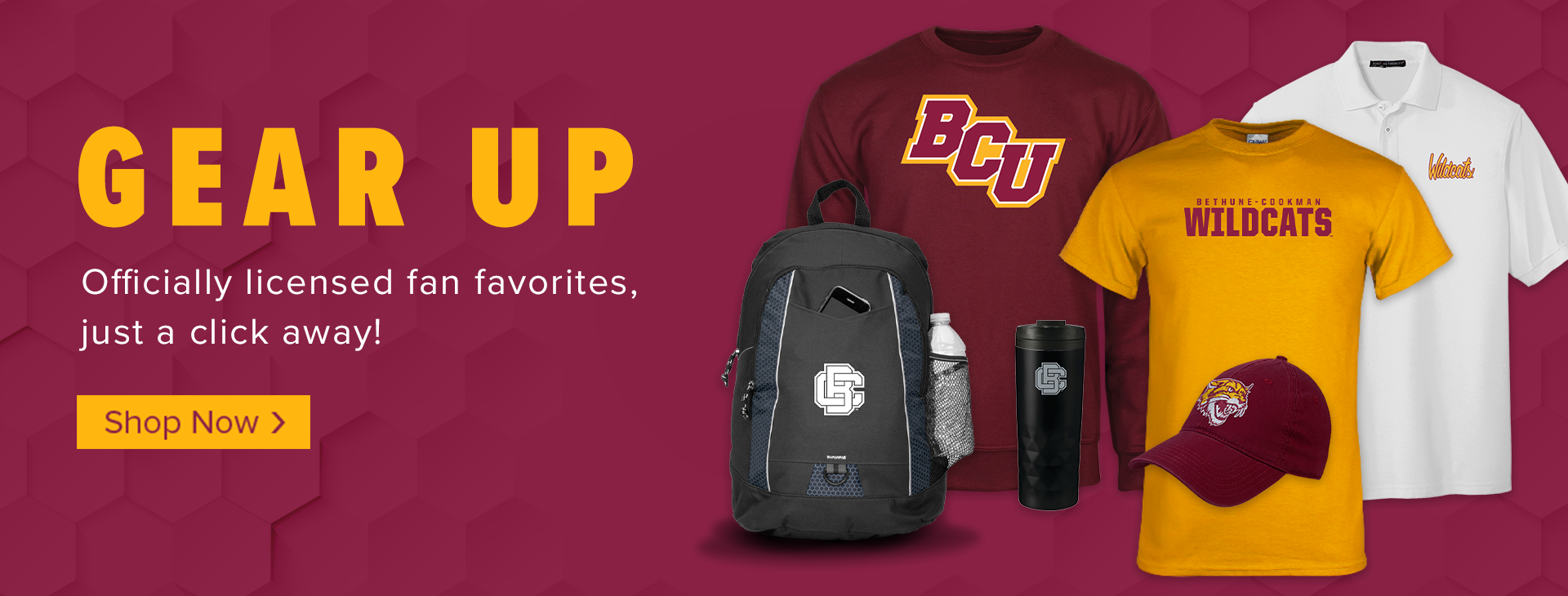 Bethune-Cookman Wildcats - Home