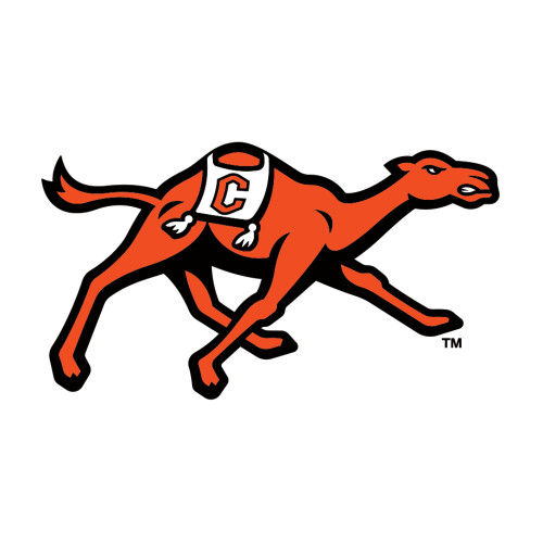 - Campbell University Fighting Camels - Decals/Magnets & Auto