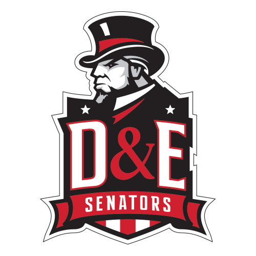 - Davis & Elkins Senators - Decals/Magnets & Auto