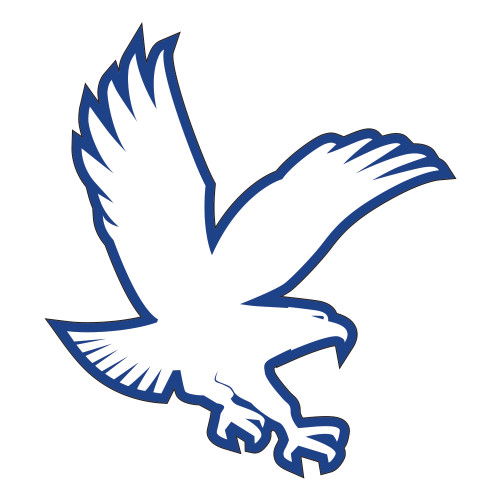 - Embry-Riddle Worldwide - Decals/Magnets & Auto