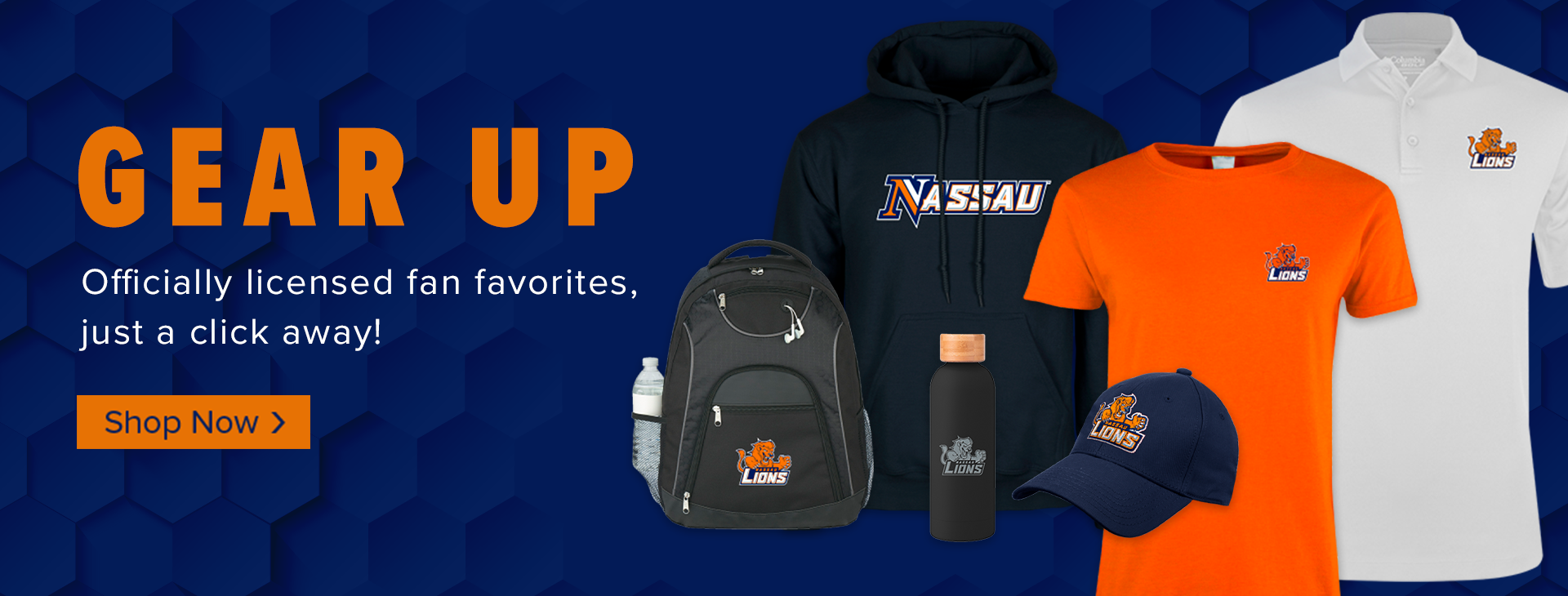 Nassau Community College Lions - Home