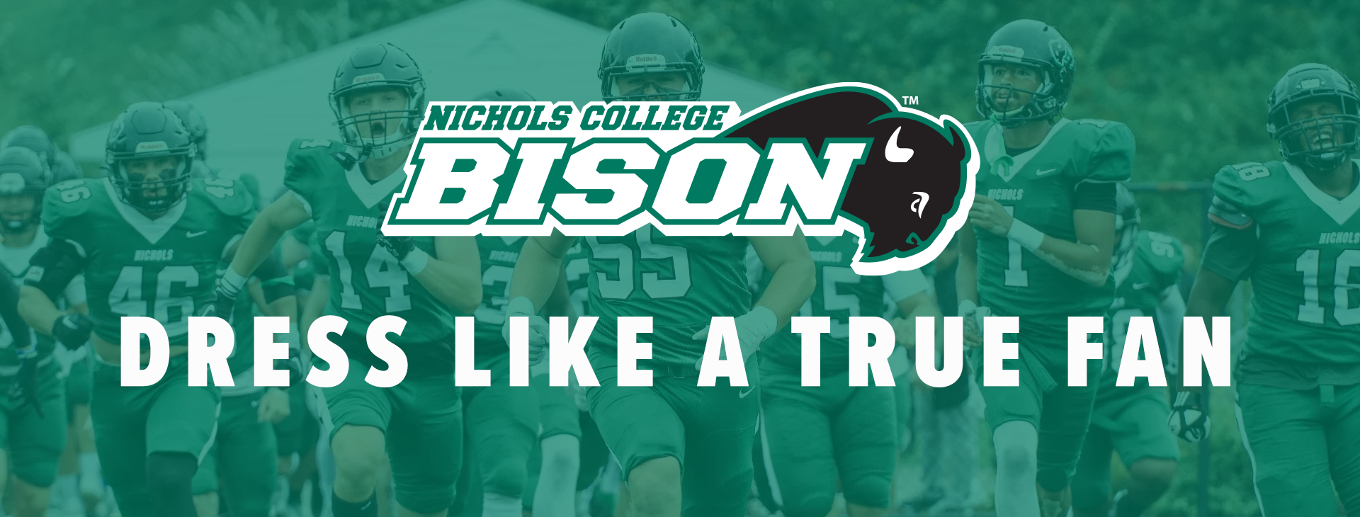 Nichols Bison - Home