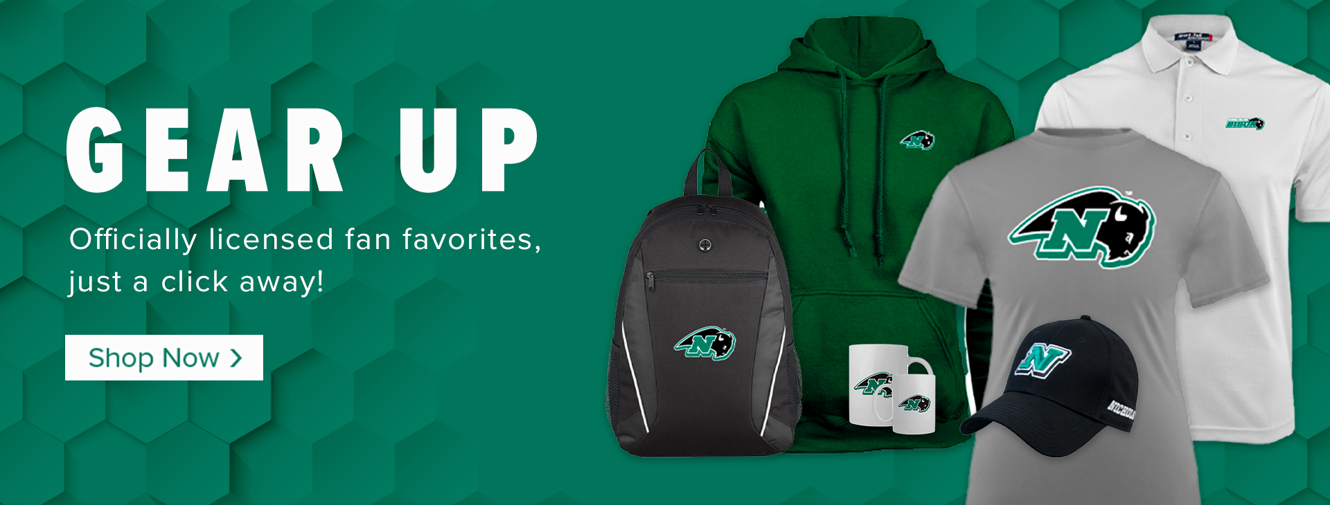 Nichols Bison - Home