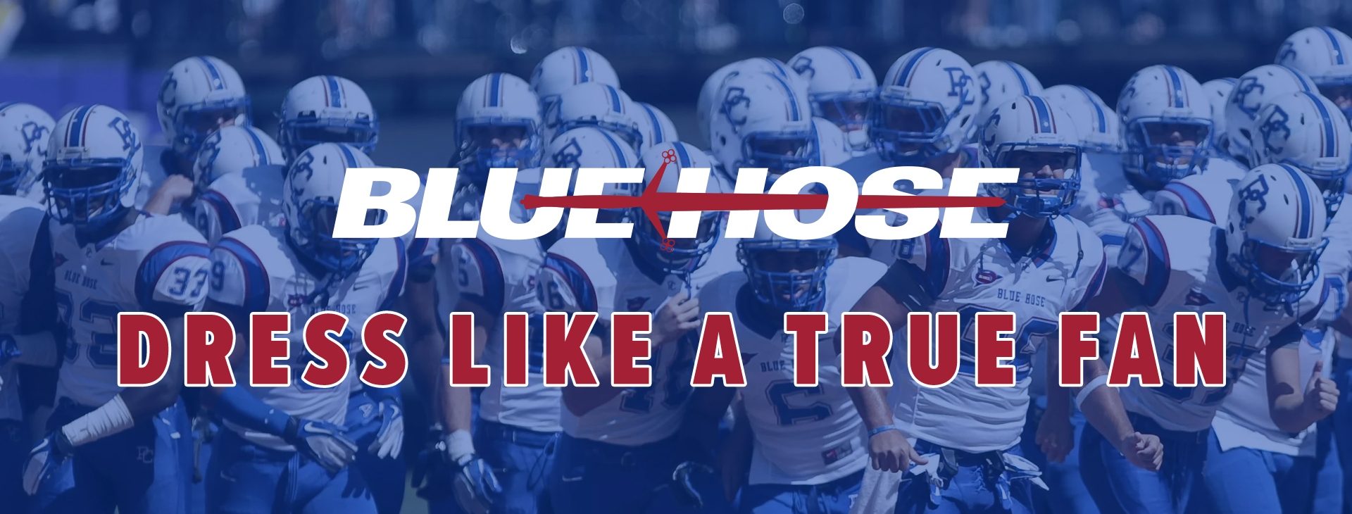 Presbyterian College Blue Hose - Home