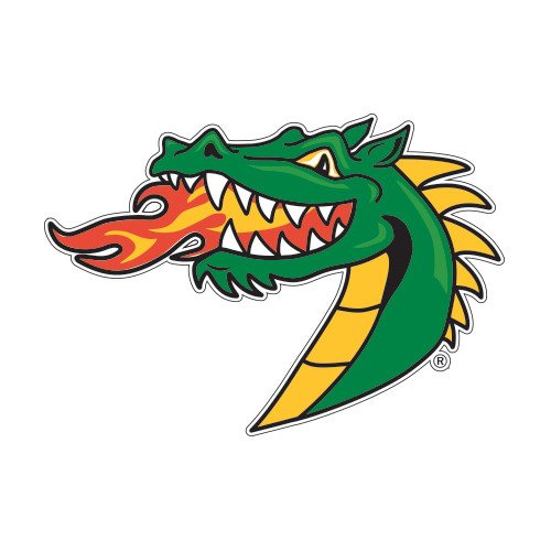 - Paris Junior College Dragons - Decals/Magnets & Auto