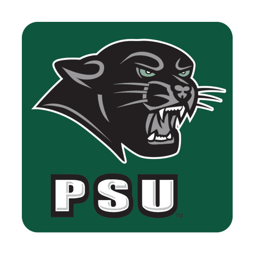 - Plymouth State Panthers - Decals/Magnets & Auto