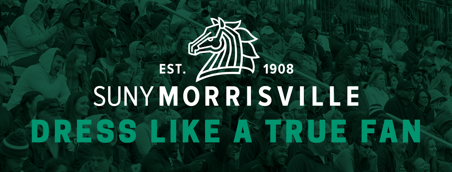 SUNY MSC Mustangs - Home