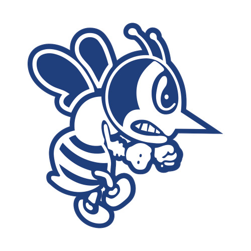 - St. Ambrose University - Decals/Magnets & Auto